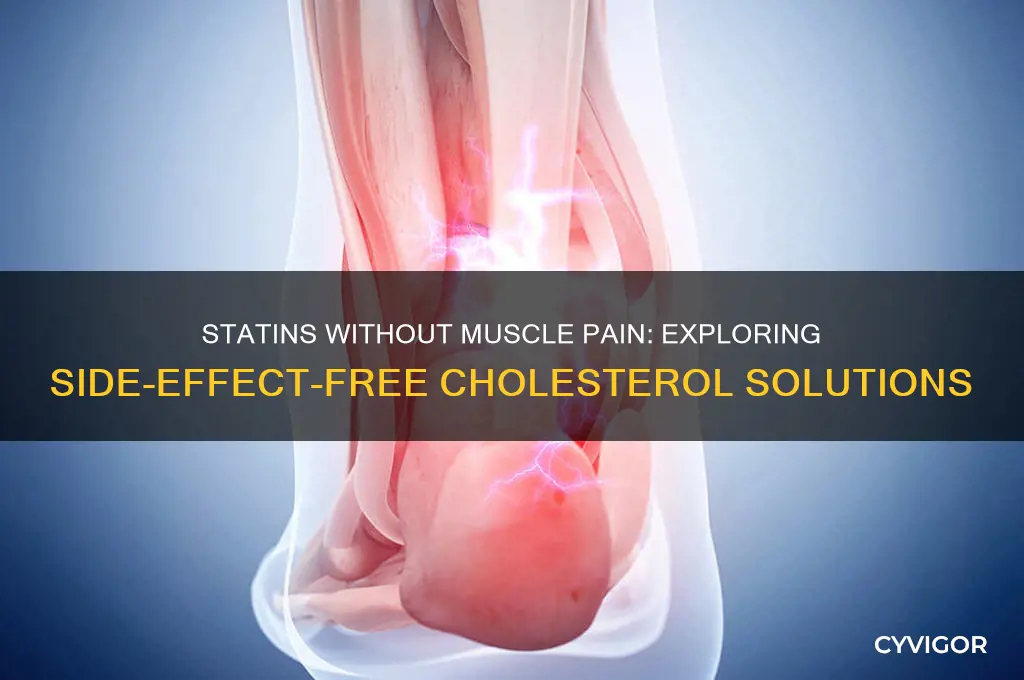 Statins Without Muscle Pain: Exploring Side-Effect-Free Cholesterol ...