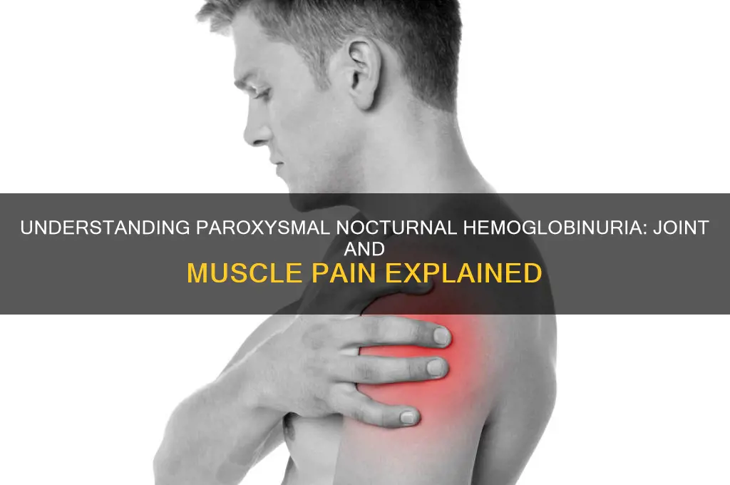 Understanding Paroxysmal Nocturnal Hemoglobinuria: Joint And Muscle ...