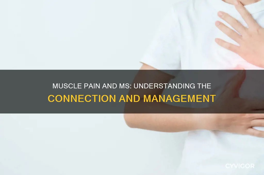Muscle Pain And Ms: Understanding The Connection And Management | CyVigor