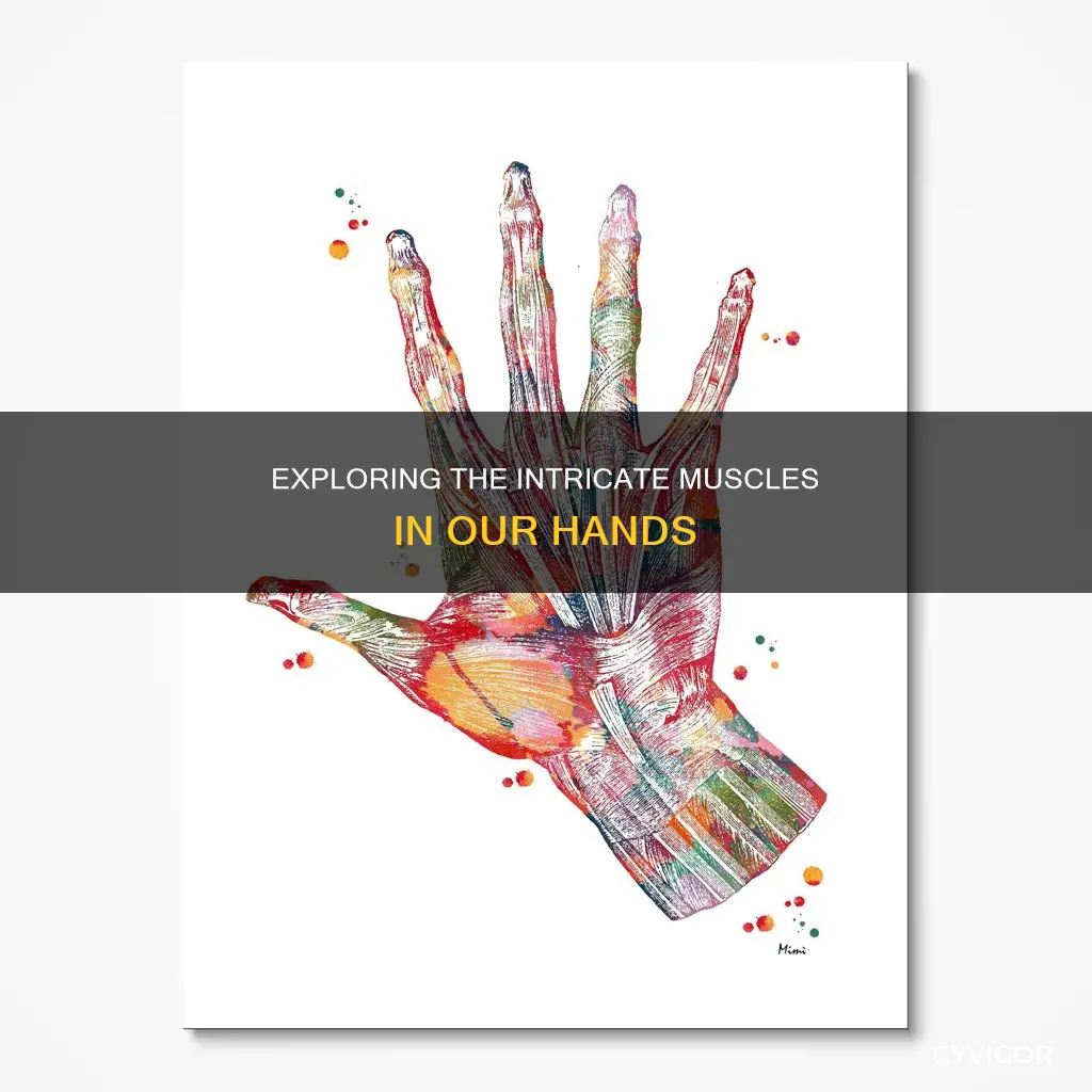 Exploring The Intricate Muscles In Our Hands | CyVigor