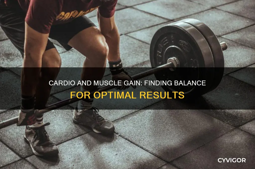 Cardio And Muscle Gain: Finding Balance For Optimal Results | CyVigor