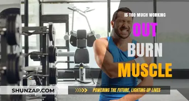 Consecutive Muscle Training: Benefits, Risks, And Recovery Tips | CyVigor