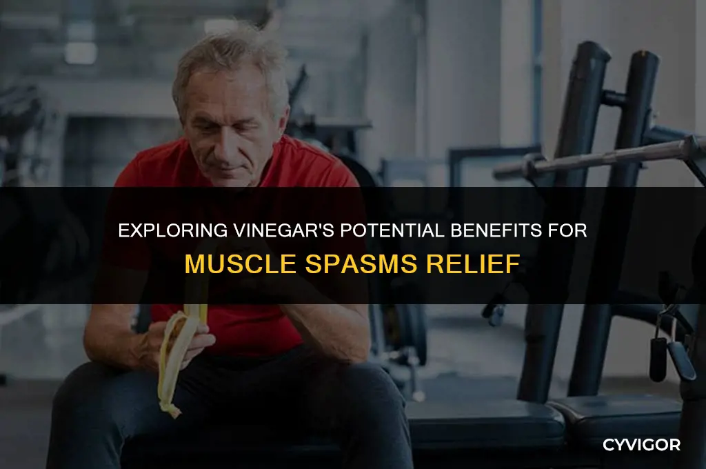 Exploring Vinegar's Potential Benefits For Muscle Spasms Relief | CyVigor