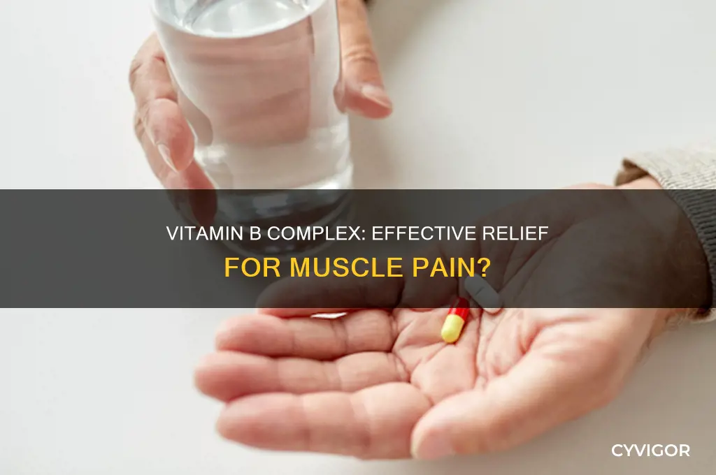 Vitamin B Complex: Effective Relief For Muscle Pain? | CyVigor