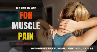 Tylenol Vs. Motrin: Which Works Best For Muscle Pain Relief? | CyVigor