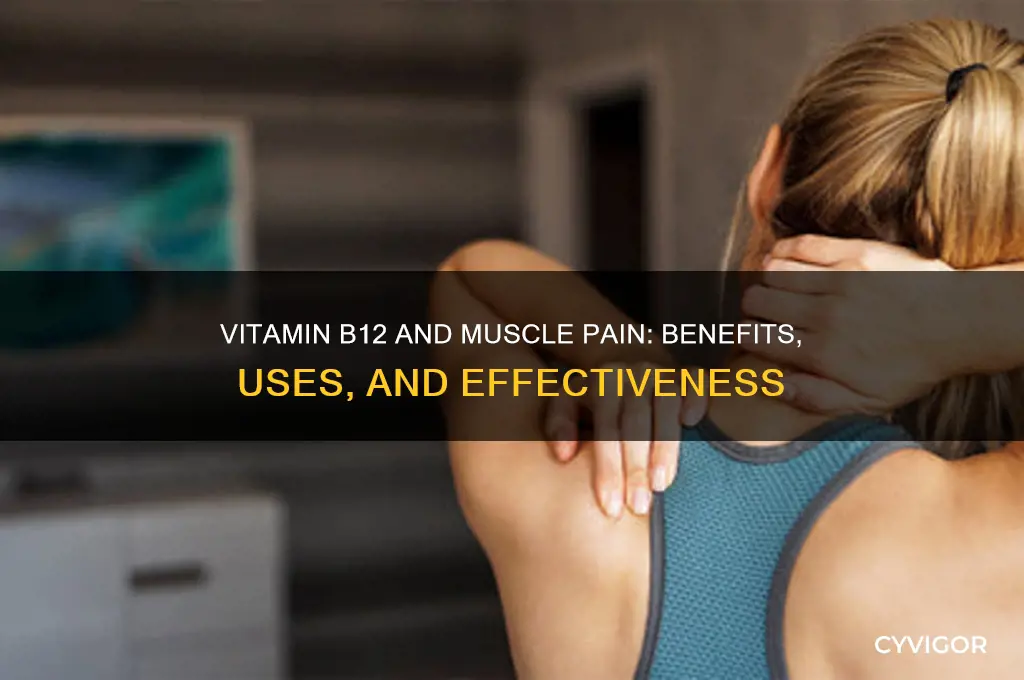Vitamin B12 And Muscle Pain: Benefits, Uses, And Effectiveness | CyVigor