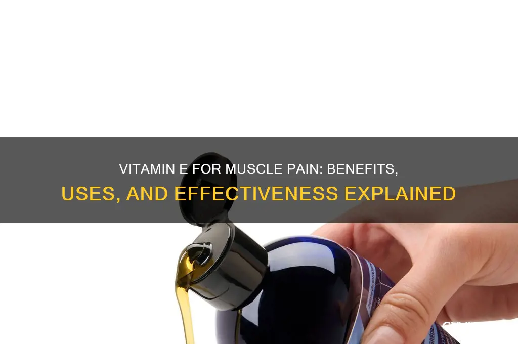 Vitamin E For Muscle Pain: Benefits, Uses, And Effectiveness Explained ...