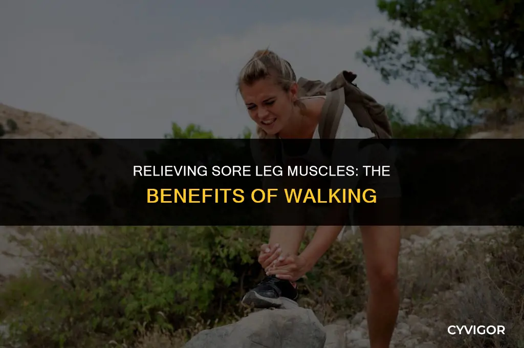 Relieving Sore Leg Muscles: The Benefits Of Walking | CyVigor