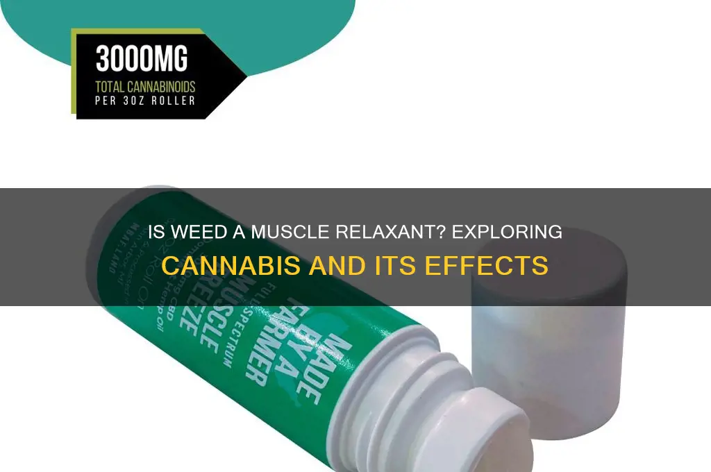 Is Weed A Muscle Relaxant? Exploring Cannabis And Its Effects | CyVigor