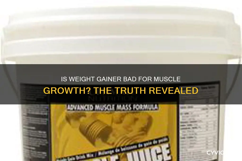 Is Weight Gainer Bad For Muscle Growth? The Truth Revealed | CyVigor