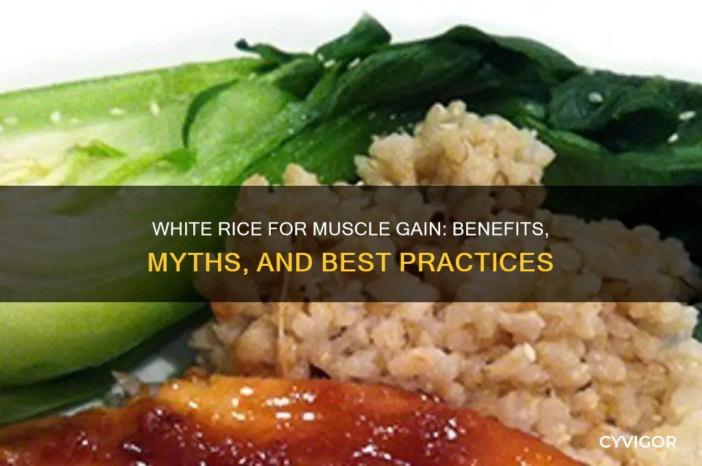 White Rice For Muscle Gain: Benefits, Myths, And Best Practices | CyVigor