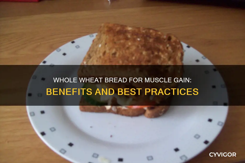 Whole Wheat Bread For Muscle Gain: Benefits And Best Practices | CyVigor