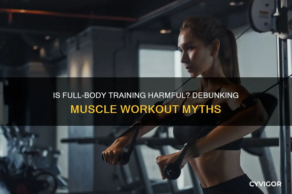 Is Full-Body Training Harmful? Debunking Muscle Workout Myths | CyVigor