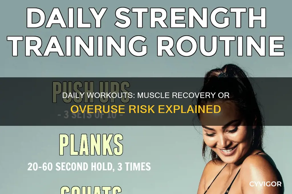 Daily Workouts: Muscle Recovery Or Overuse Risk Explained | CyVigor