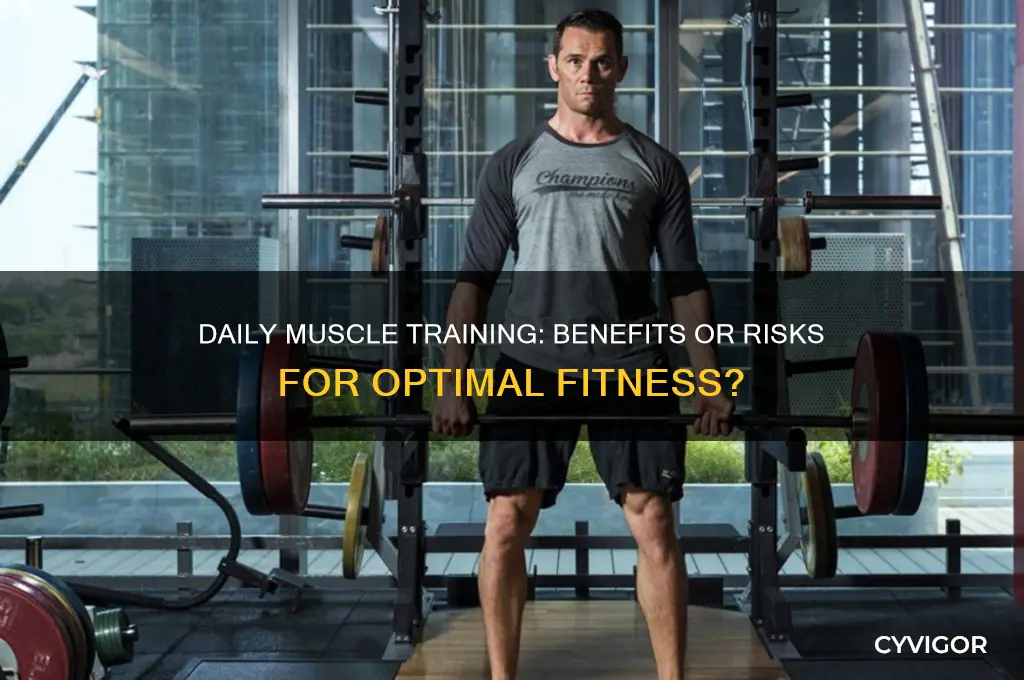 Daily Muscle Training: Benefits Or Risks For Optimal Fitness? | CyVigor