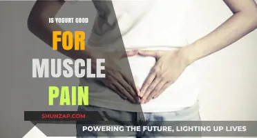 Vitamin B12 And Muscle Pain: Benefits, Uses, And Effectiveness | CyVigor