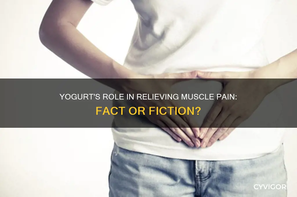 Yogurt's Role In Relieving Muscle Pain: Fact Or Fiction? | CyVigor