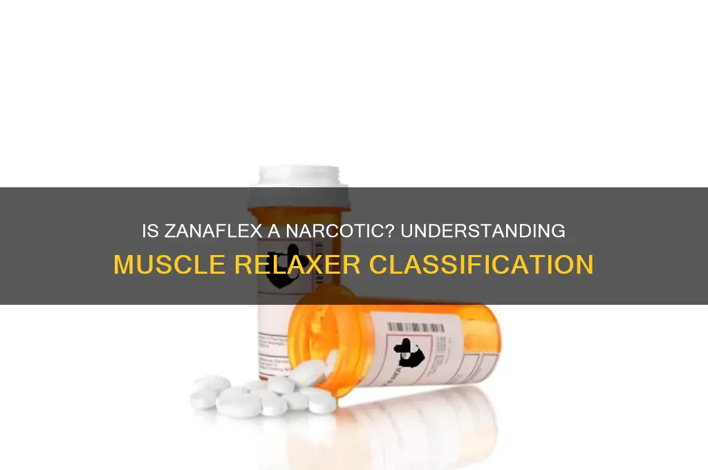 Is Zanaflex A Narcotic? Understanding Muscle Relaxer Classification ...