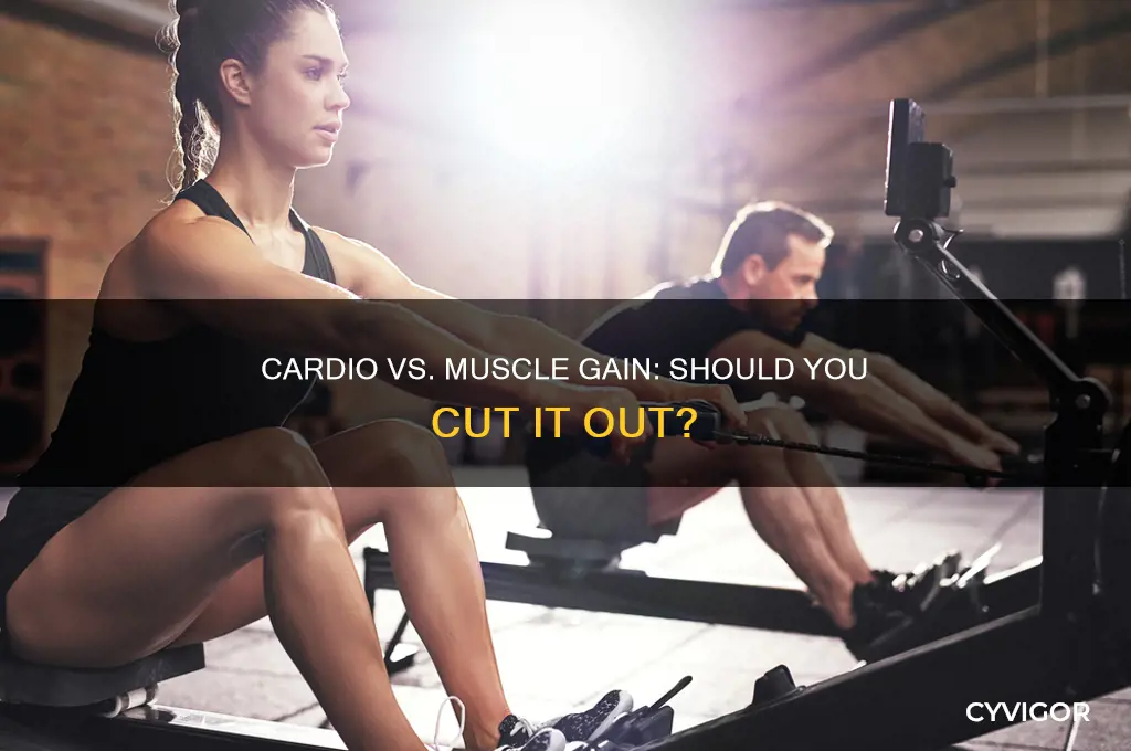 Cardio Vs. Muscle Gain: Should You Cut It Out? | CyVigor
