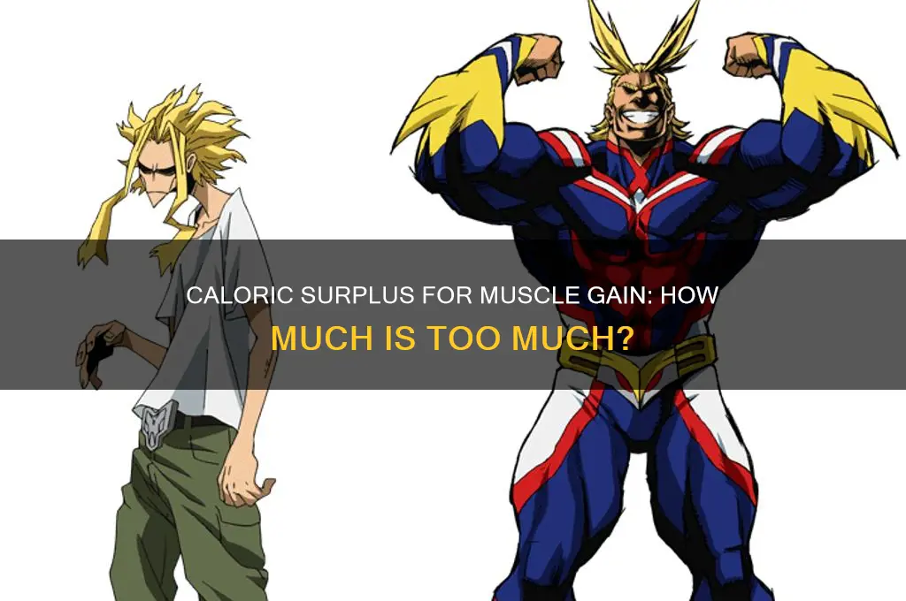 Caloric Surplus For Muscle Gain: How Much Is Too Much? | CyVigor