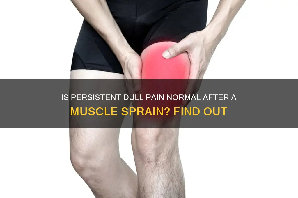 Is Persistent Dull Pain Normal After A Muscle Sprain? Find Out | CyVigor