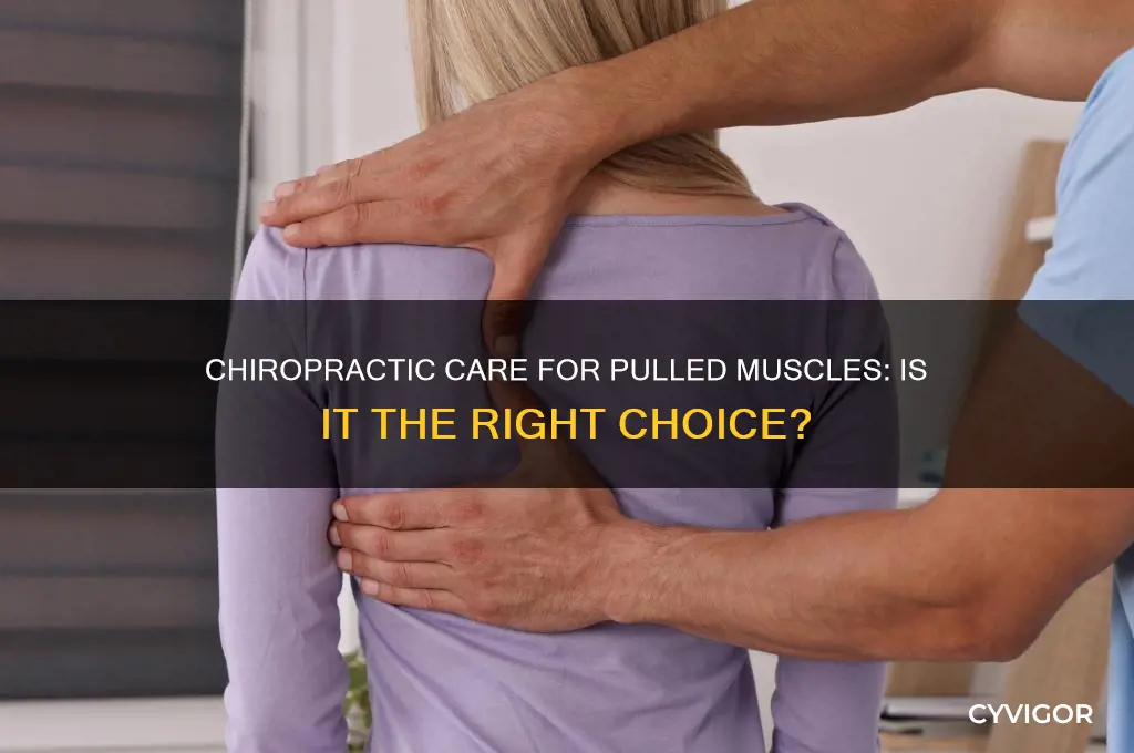 Chiropractic Care For Pulled Muscles: Is It The Right Choice? | CyVigor