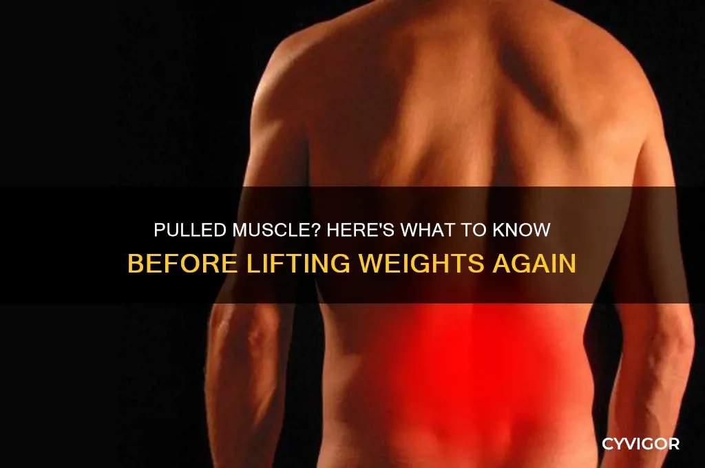 Pulled Muscle? Here's What To Know Before Lifting Weights Again | CyVigor