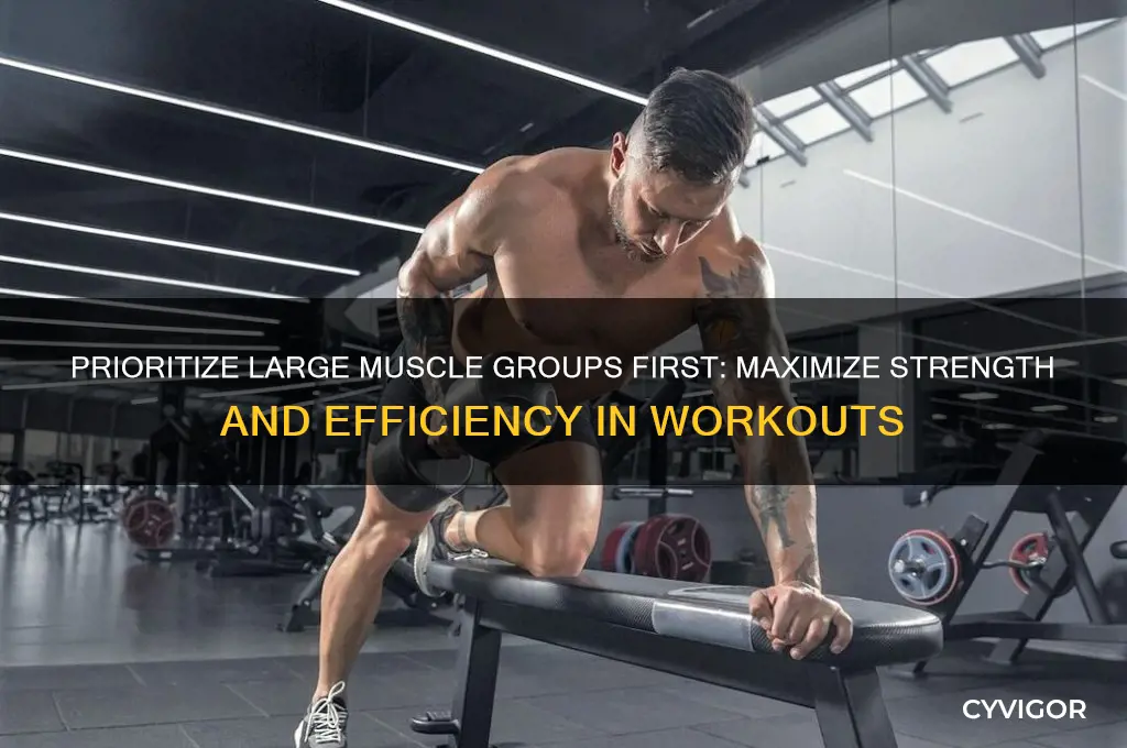 Prioritize Large Muscle Groups First: Maximize Strength And Efficiency ...