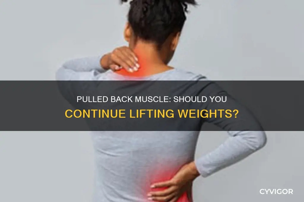Pulled Back Muscle: Should You Continue Lifting Weights? | CyVigor