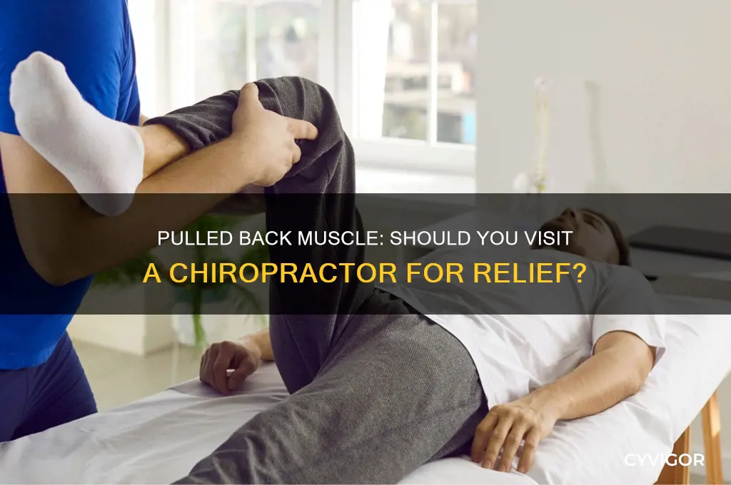 Pulled Back Muscle: Should You Visit A Chiropractor For Relief? | CyVigor