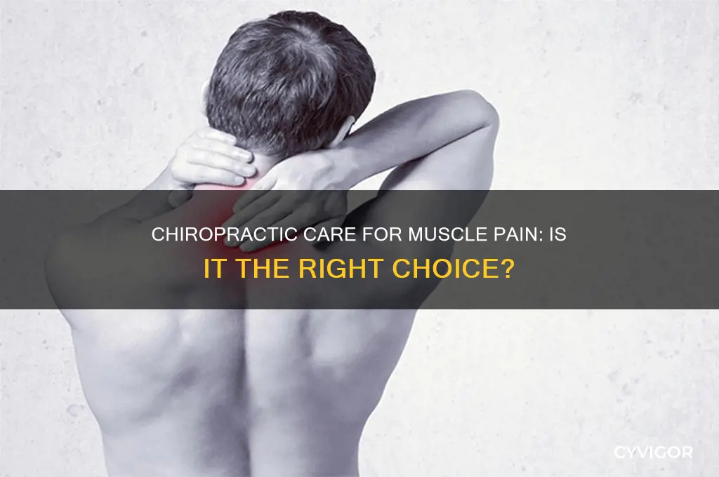 Chiropractic Care For Muscle Pain: Is It The Right Choice? | CyVigor