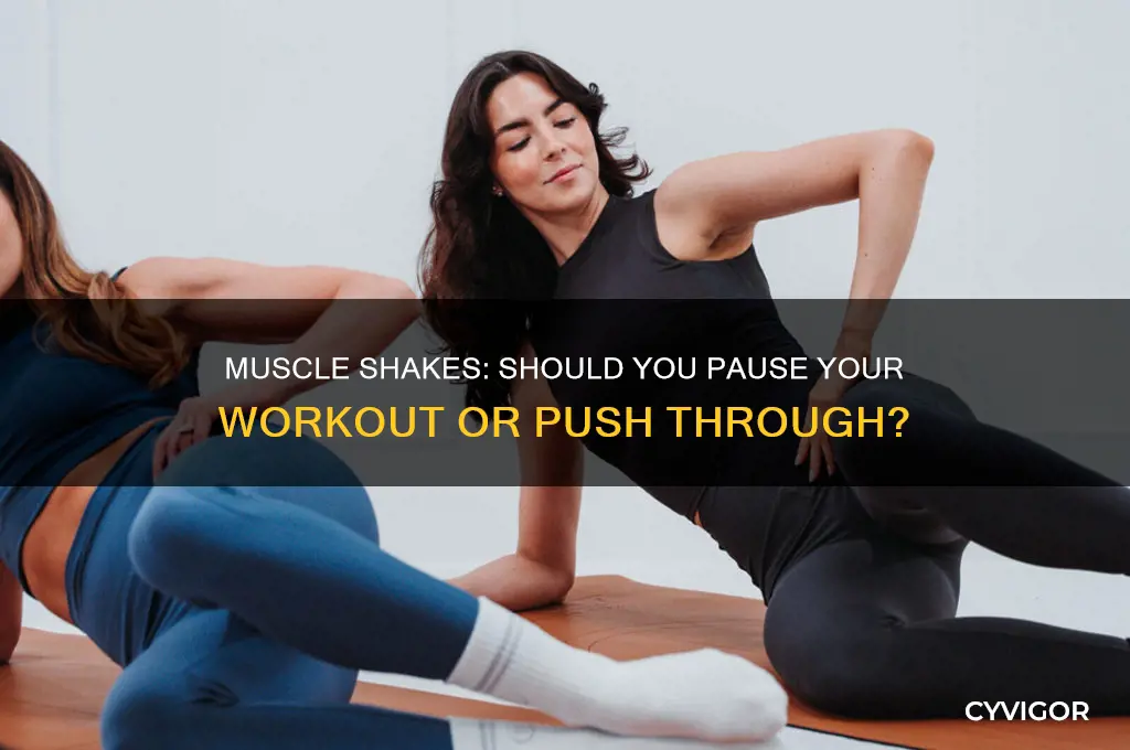Muscle Shakes: Should You Pause Your Workout Or Push Through? | CyVigor
