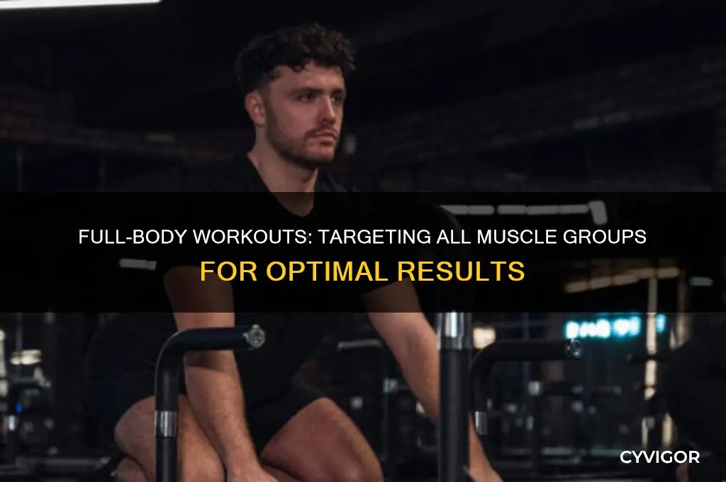 Full-Body Workouts: Targeting All Muscle Groups For Optimal Results ...
