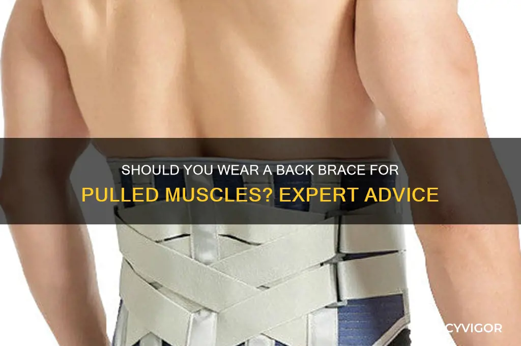 Should You Wear A Back Brace For Pulled Muscles? Expert Advice | CyVigor