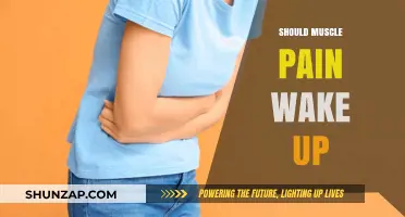 Understanding Muscle Pain: Common Causes And Contributing Factors ...