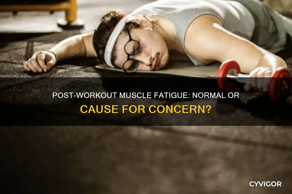 Post-Workout Muscle Fatigue: Normal Or Cause For Concern? | CyVigor