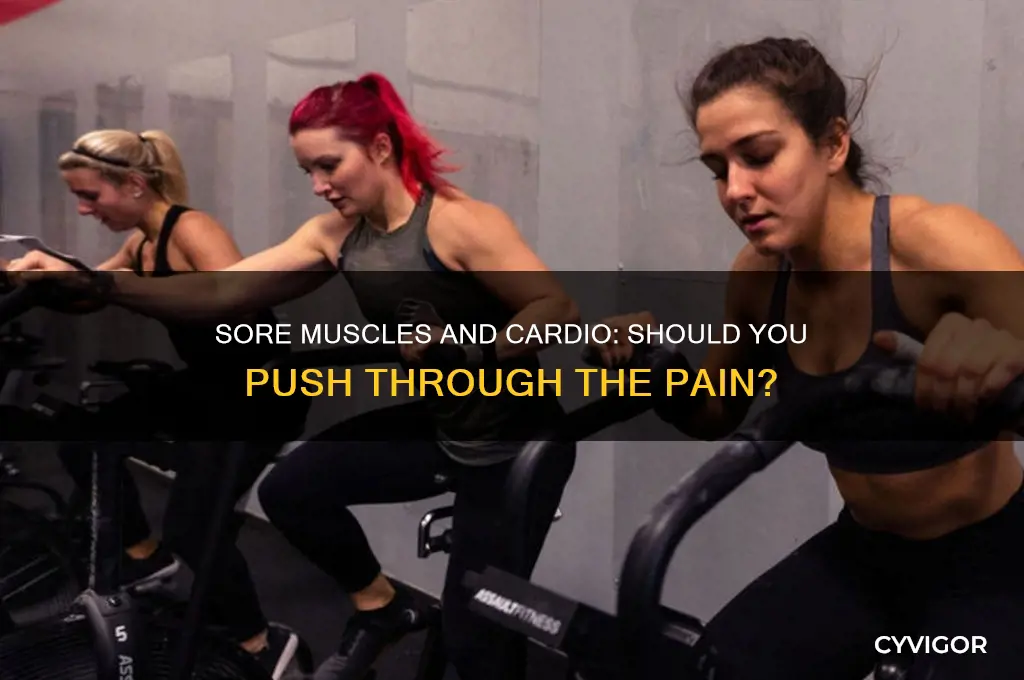 Sore Muscles And Cardio: Should You Push Through The Pain? | CyVigor
