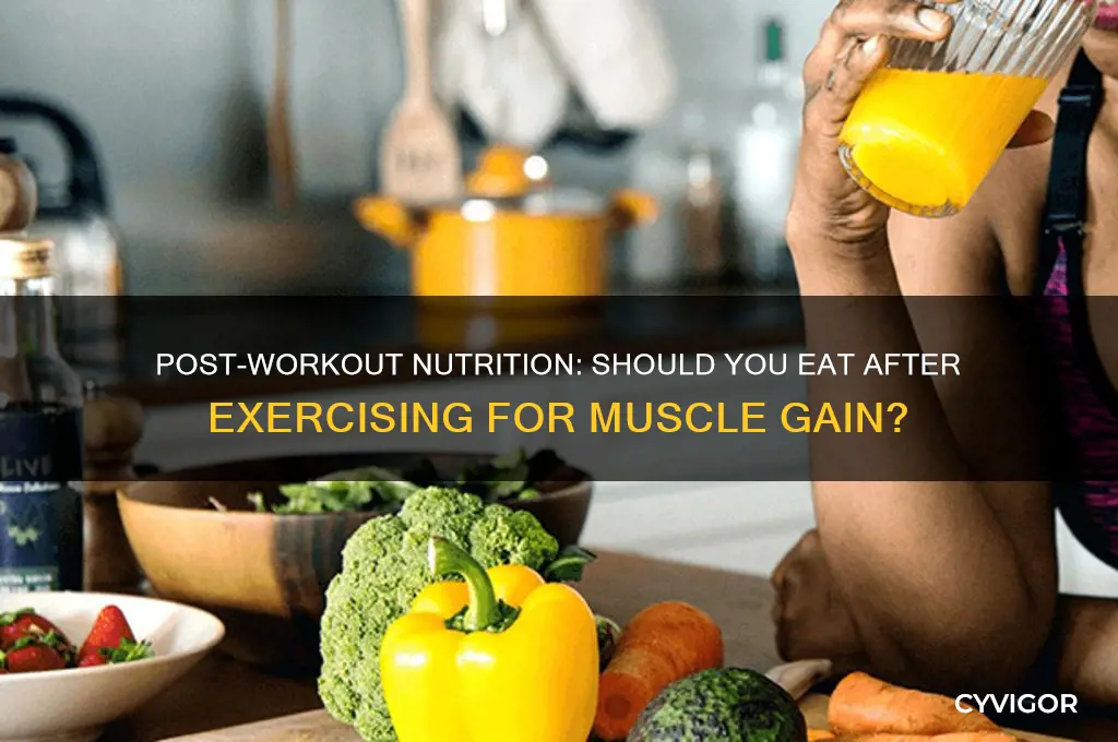 Post-Workout Nutrition: Should You Eat After Exercising For Muscle Gain ...