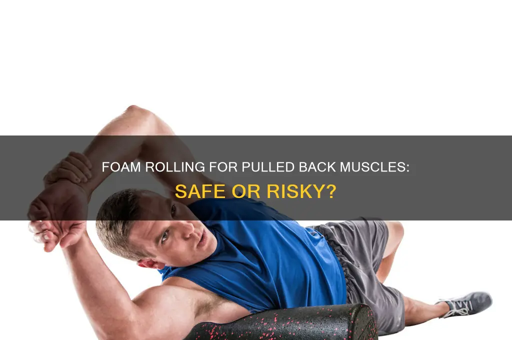 Foam Rolling For Pulled Back Muscles: Safe Or Risky? | CyVigor