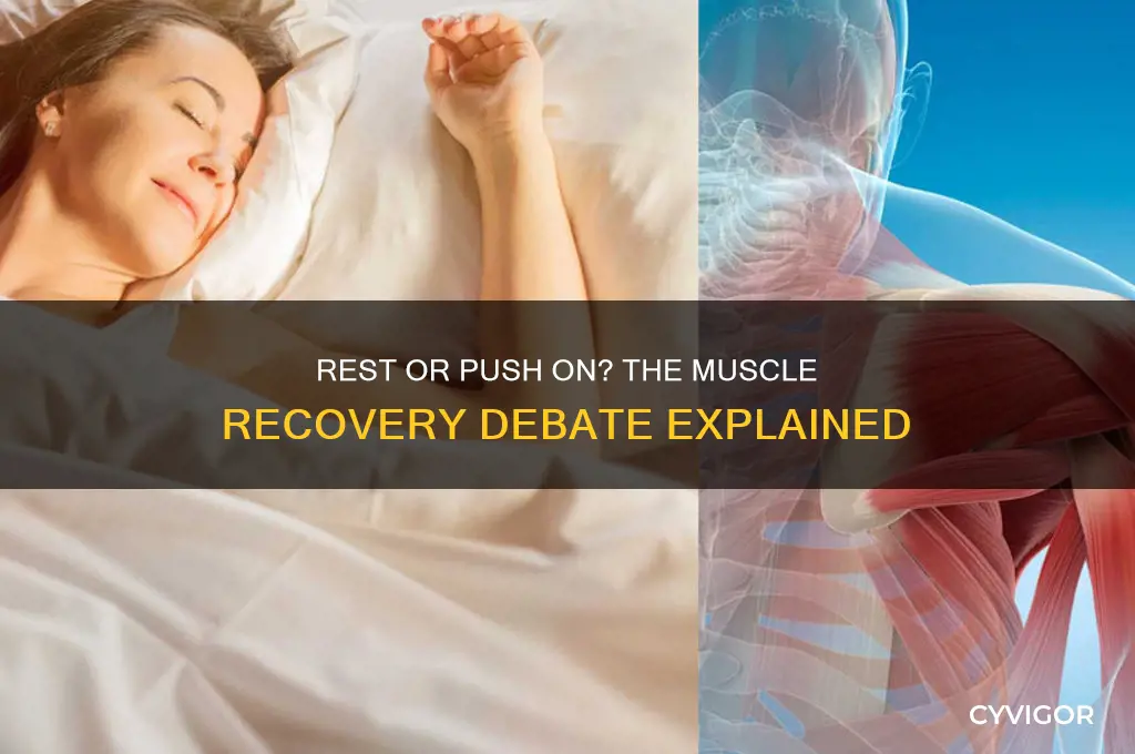 Rest Or Push On? The Muscle Recovery Debate Explained | CyVigor