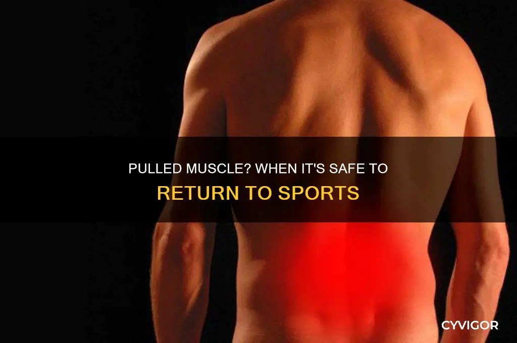 Pulled Muscle? When It's Safe To Return To Sports | CyVigor