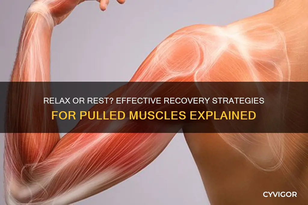 Relax Or Rest? Effective Recovery Strategies For Pulled Muscles ...