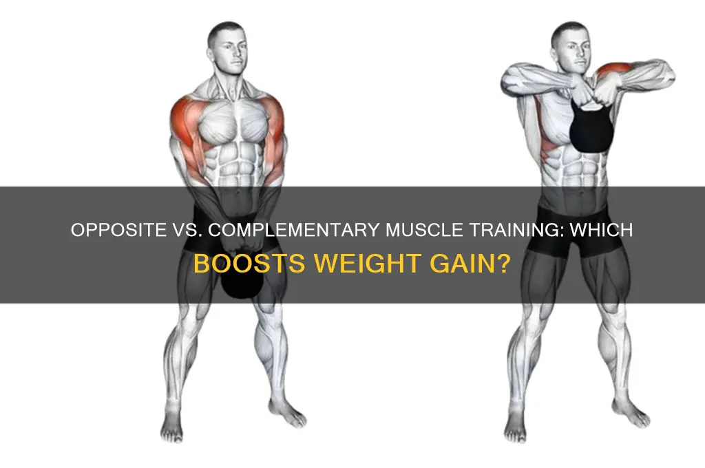 Opposite Vs. Complementary Muscle Training: Which Boosts Weight Gain ...