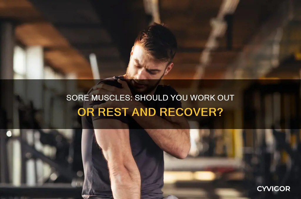 Sore Muscles: Should You Work Out Or Rest And Recover? | CyVigor