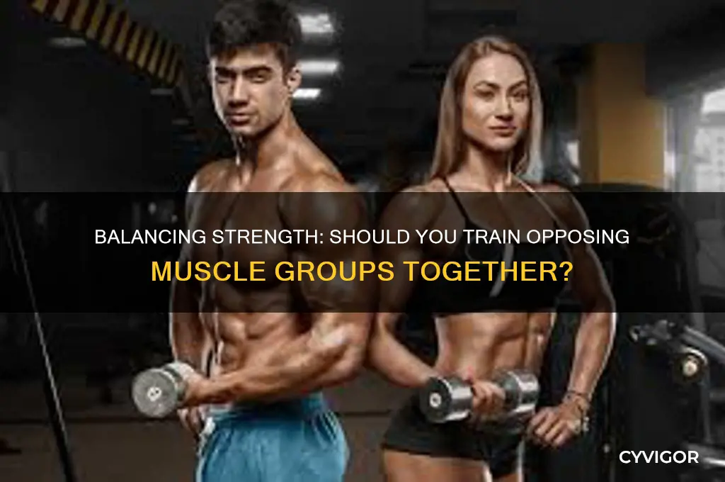 Balancing Strength: Should You Train Opposing Muscle Groups Together ...