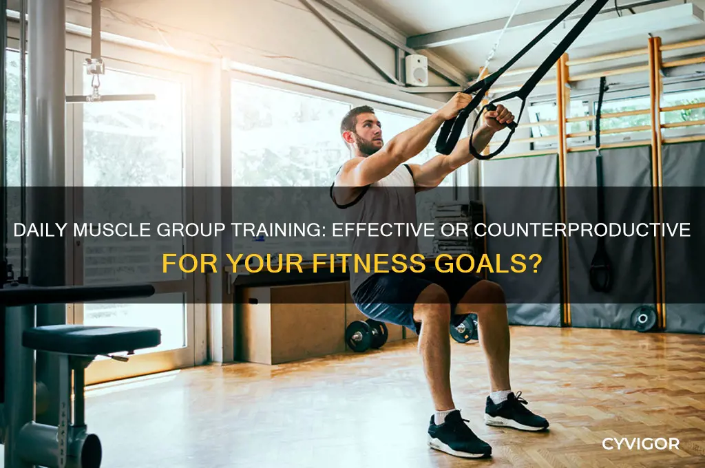 Daily Muscle Group Training: Effective Or Counterproductive For Your ...