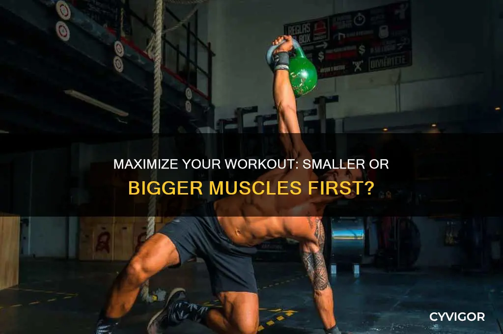 Maximize Your Workout: Smaller Or Bigger Muscles First? | CyVigor