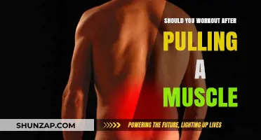 Understanding Muscle Strains: What Happens When You Pull A Muscle | CyVigor