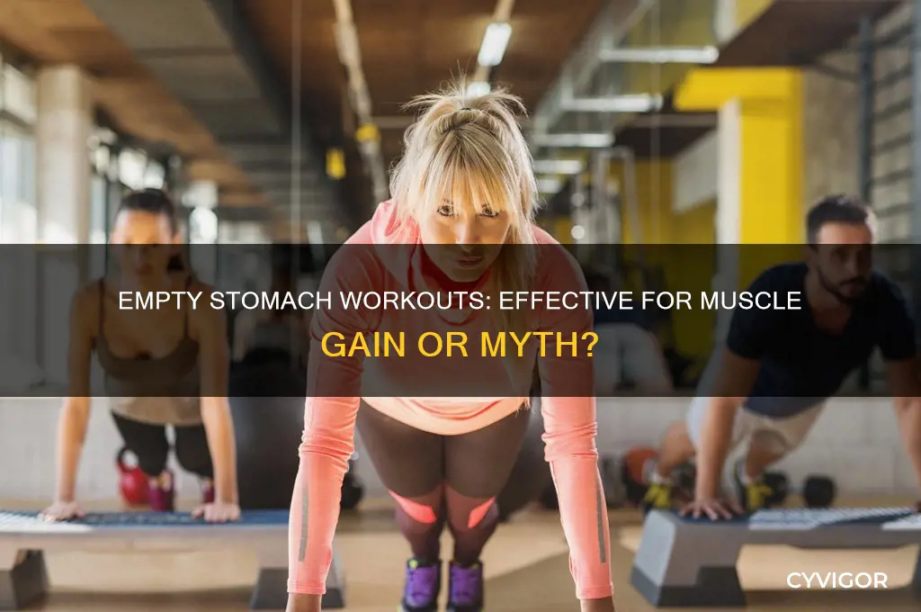 Empty Stomach Workouts: Effective For Muscle Gain Or Myth? | CyVigor