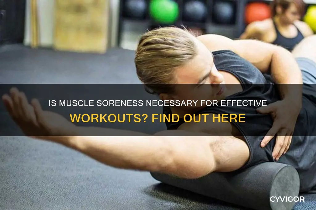 Is Muscle Soreness Necessary For Effective Workouts? Find Out Here ...